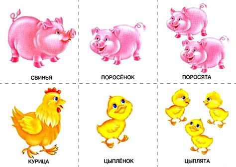Домашние животные мама и детеныш картинки для детей