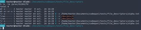 Manipuler Un Fichier L Aide De Son Descripteur En C Codequoi
