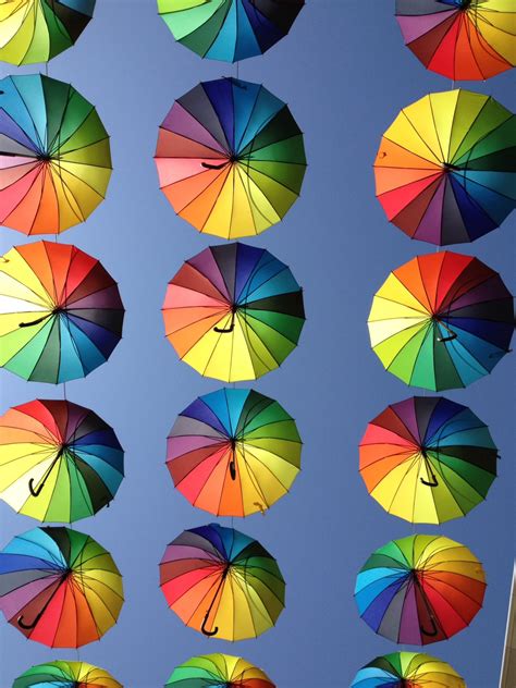 무료 이미지 꽃잎 유리 무늬 선 색깔 장난감 원 미술 디자인 대칭 모양 1536x2048 117230 무료 이미지 Pxhere