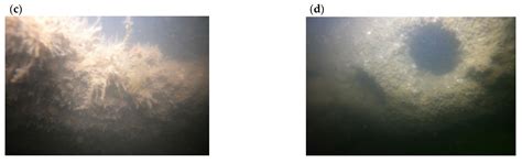 Subsidence Of Artificial Reefs With Bamboo Foundations On A Soft Seabed