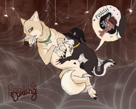 Rule 34 Anatomically Correct Animal Genitalia Animal Pussy Canine Pussy Female Femalefemale