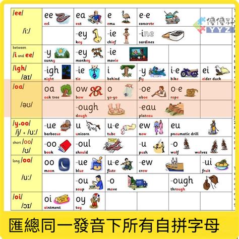 ⚡小學英語教學區域 215條英語自然拼讀規則表 大尺寸海報超清加厚 單詞拼讀神器中英版鍛煉兒童英語發音及單詞認知圖畫教具 蝦皮購物