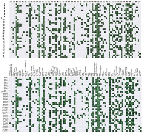 Use Python Matplotlib Plot To Save Svg Format And Then Import Into Ad