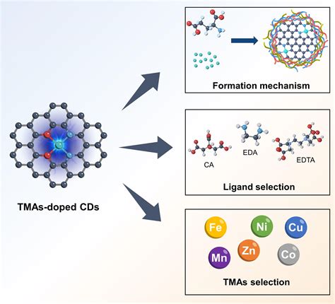 The Guidelines For The Design And Synthesis Of Transition Metal Atom