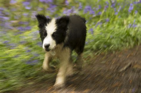 Sussex Photography Courses A Good Place