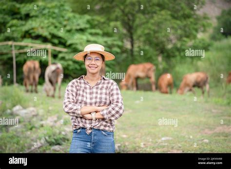 Female Woman Worker Posing On A Cow Dairy Farm Out Door Ranch A Cowshed