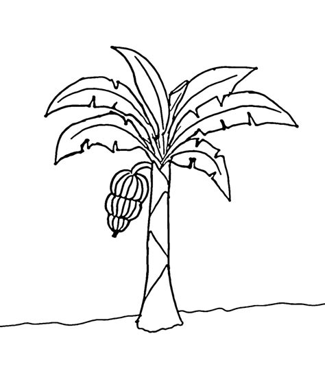 Pohon Pisang Dan Tandan Pisang