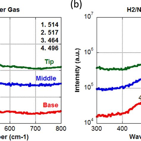 Micro Raman Spectra On Tip Close To Catalyst Middle And Base Section