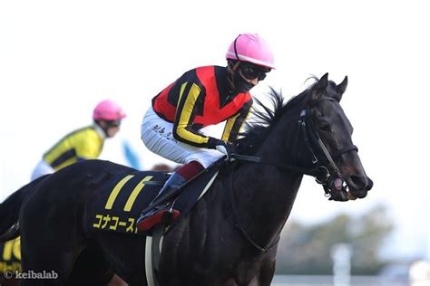 【4月6日】桜花賞2着のコナコーストがオークス参戦へ主なニュースまとめ 競馬ニュース 競馬ラボ