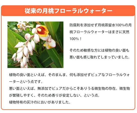【楽天市場】無農薬月桃 月桃蒸留水：沖縄ロハス よもぎ蒸しと生蜂蜜