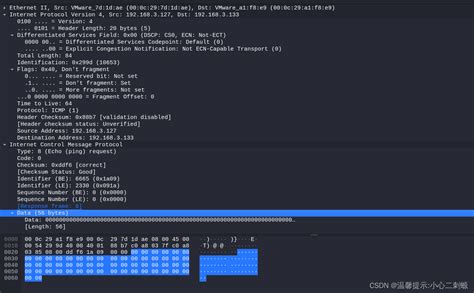 使用ping命令进行网络诊断：参数详解与应用 Csdn博客