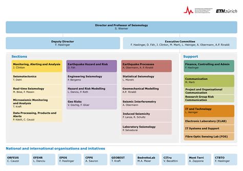 Sed Organisation Chart
