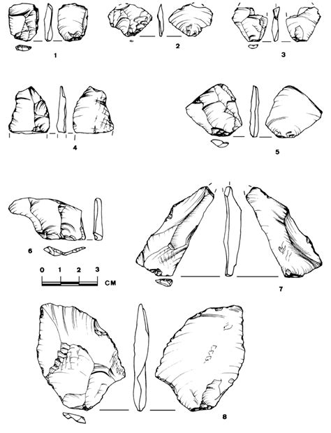Flint Flakes Resulting From Biface Modification Nos 1 6 éclat De