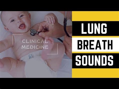 Normal And Abnormal Lung Sounds To Auscultate Youtube