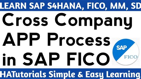 Cross Company Code Automatic Payment In Sapfico Cross Company Code App Youtube