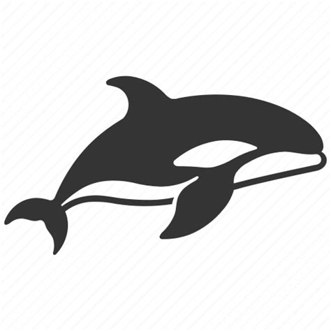 Killer Whale Cetacean Apex Predator Aquatic Orcinus Orca Icon