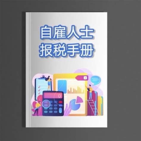 Excel 自雇人士form B Tax Computation Excel Profit And Loss Balance Sheet Lhdn 报税 Sole Proprietor