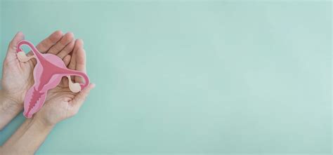 Egg White Cervical Mucus Vs Sperm