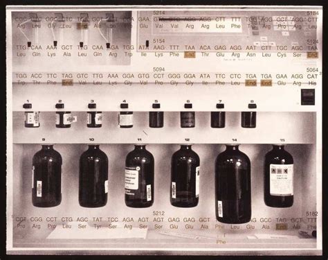 Biogenetics Lab Suite Re Search Dna Rna Synthesizer With Dna Sam Fox