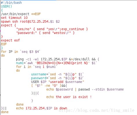 Shell语句objshell Csdn博客