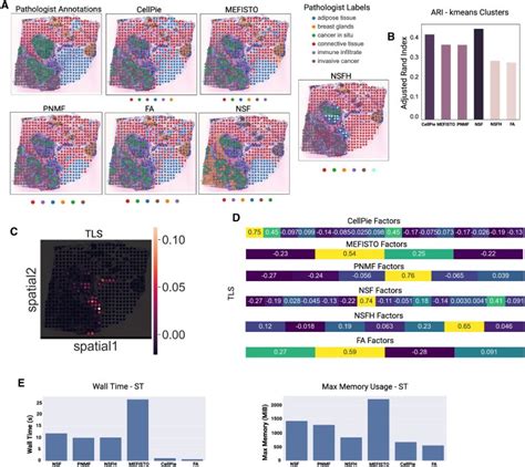 Cellpie A Scalable Spatial Transcriptomics Factor Discovery Method Via Joint Non Negative