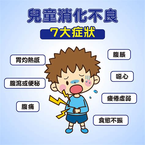 消化不良解決方法，胃口突然變小，試試8種幫助消化食物 卡蘿琳益生菌｜守護全家人的健康