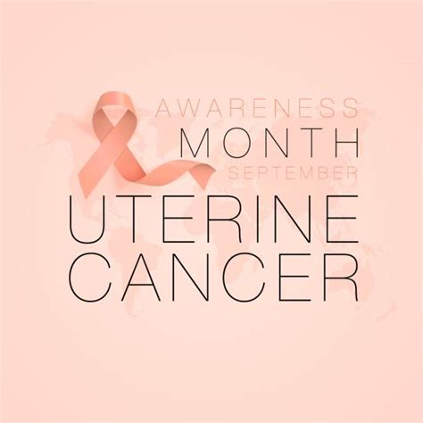 Best Uterine Illustrations Royalty Free Vector Graphics And Clip Art