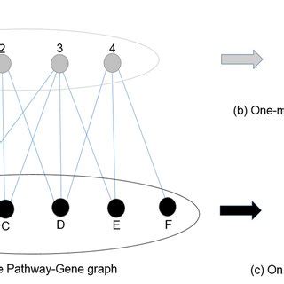 Two Mode And One Mode Graph A A Bipartite Or Two Mode Graph Of Download Scientific Diagram