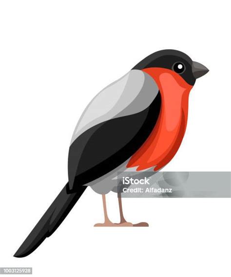 멋쟁이 새의 일종 새입니다 플랫 만화 캐릭터 디자인입니다 다채로운 새 아이콘입니다 귀여운 멋쟁이 새의 일종 크리스마스 로빈 새 벡터 일러스트 레이 션 흰색 배경에 고립