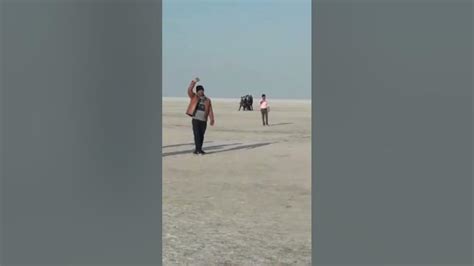 Safed Ran Kachhstatus Shots Video Kachh Reels Youtube