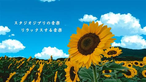 スタジオジブリ ️【ghibli Music】 魔女の宅急便 千と千尋の神隠し ゲド戦記 もののけ姫 崖の上のポニョ となりのトトロ