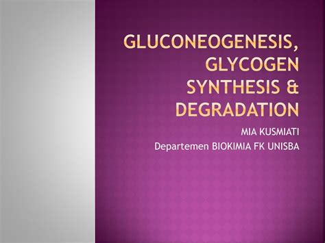 Ppt Gluconeogenesis Glycogen Synthesis And Degradation Powerpoint
