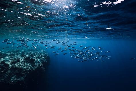 Building A Sustainable Ocean Economy Post Covid Ocean Panel