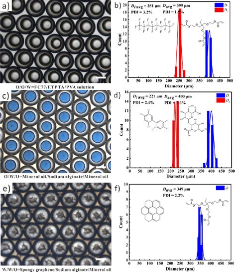 Morphology And Size Distribution For Inner Core And Outer Shell Of The Download Scientific
