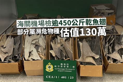 海關機場檢逾450公斤乾魚翅部分屬瀕危物種 旅客出示無效文件