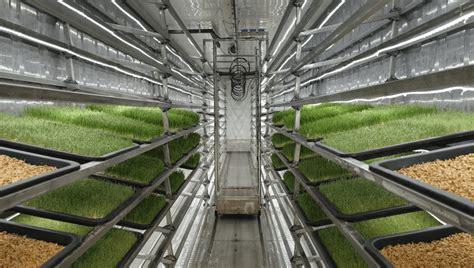 Blog 上海德环实业有限公司（4）（2024）