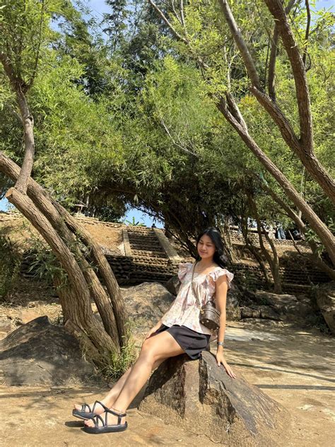 Camellia3 Camellia3 Added A New Photo