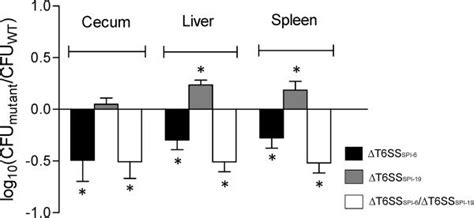 In Vivo Competition Experiments Between ∆t6ssspi 6∆t6ssspi 19