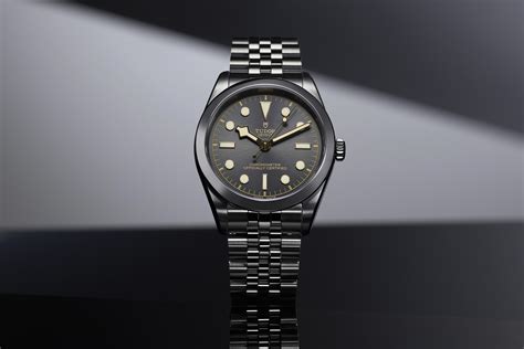 Introducing The Updated Fixed Bezel Tudor Black Bay 31363941