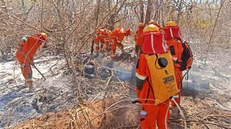 El Fuego Arrasó 1 Millón De Hectáreas En Santa Cruz Mediamonitor