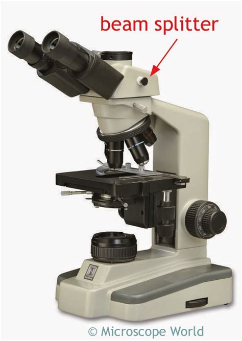 Microscope World Blog Microscope Troubleshooting