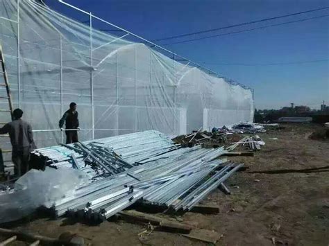 连栋温室大棚的优缺点 新闻动态 临沂聚满农业温室工程有限公司