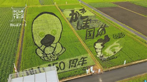 南九州市川辺の田んぼアート かごしまドローンTRIP