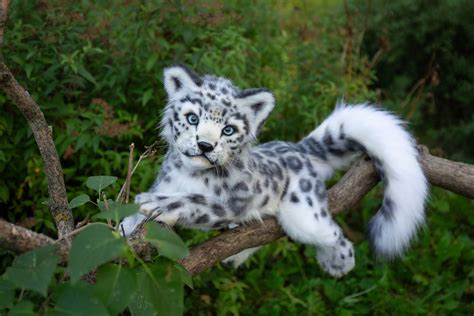Toy Snow Leopard Cub Eluna By Ashreimew On Deviantart