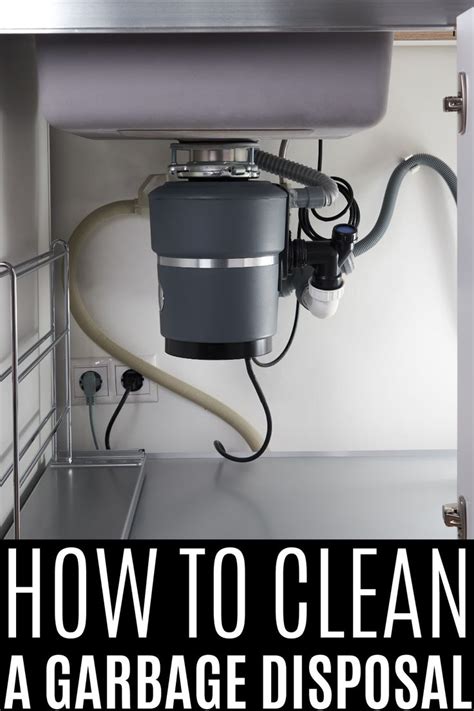 How To Clean A Garbage Disposal Home Life