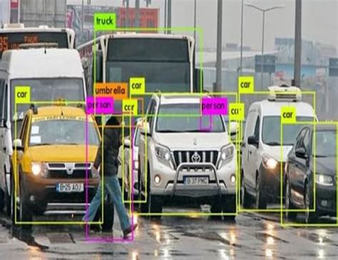 Provide Professional Object Detection Services Using Yolo Object Detection Model By Danishali79