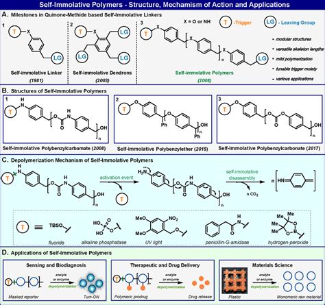 Self Immolative Polymers Historical Viewpoint Molecular Structures Download Scientific