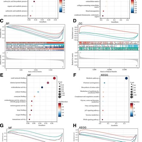 Functional Enrichment Analysis A C E G Functional Enrichment