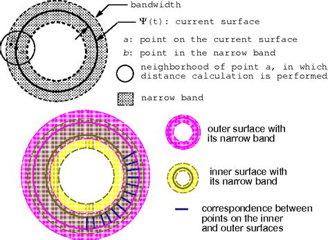 Figure 5 From Segmentation And Measurement Of The Cortex From 3 D Mr