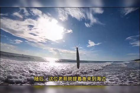 原来埃及也有大海老哥在海边钓上一条鲨鱼直接将其当成了坐骑 老哥 鲨鱼 大海